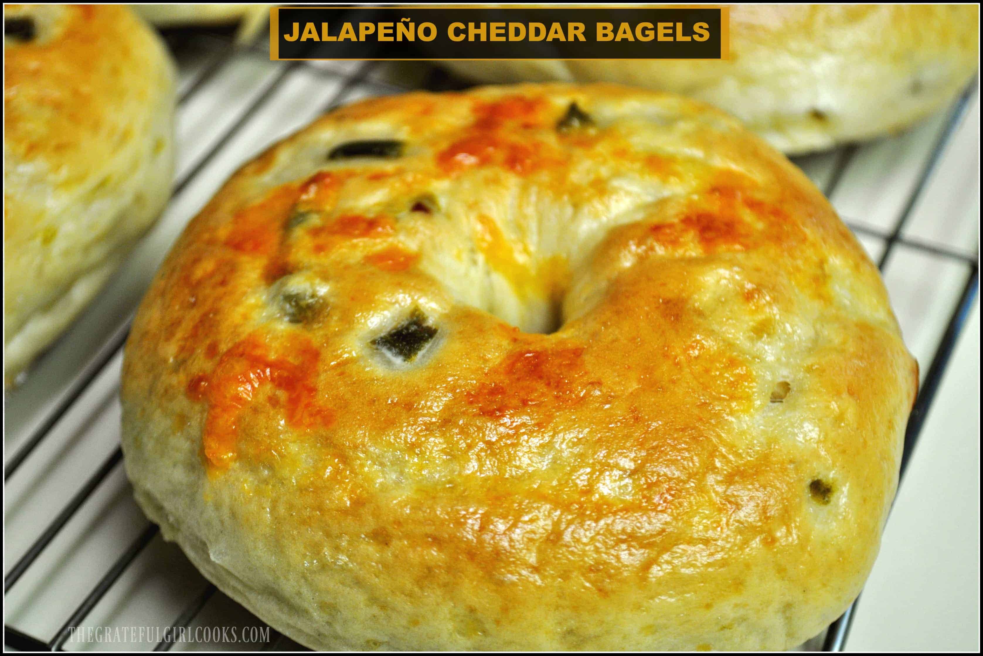 Jalapeño Cheddar Bagels | The Grateful Girl Cooks! Jalapeño Cheddar Bagels | The Grateful Girl Cooks!