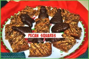 Pecan Squares (dessert bars) / The Grateful Girl Cooks!