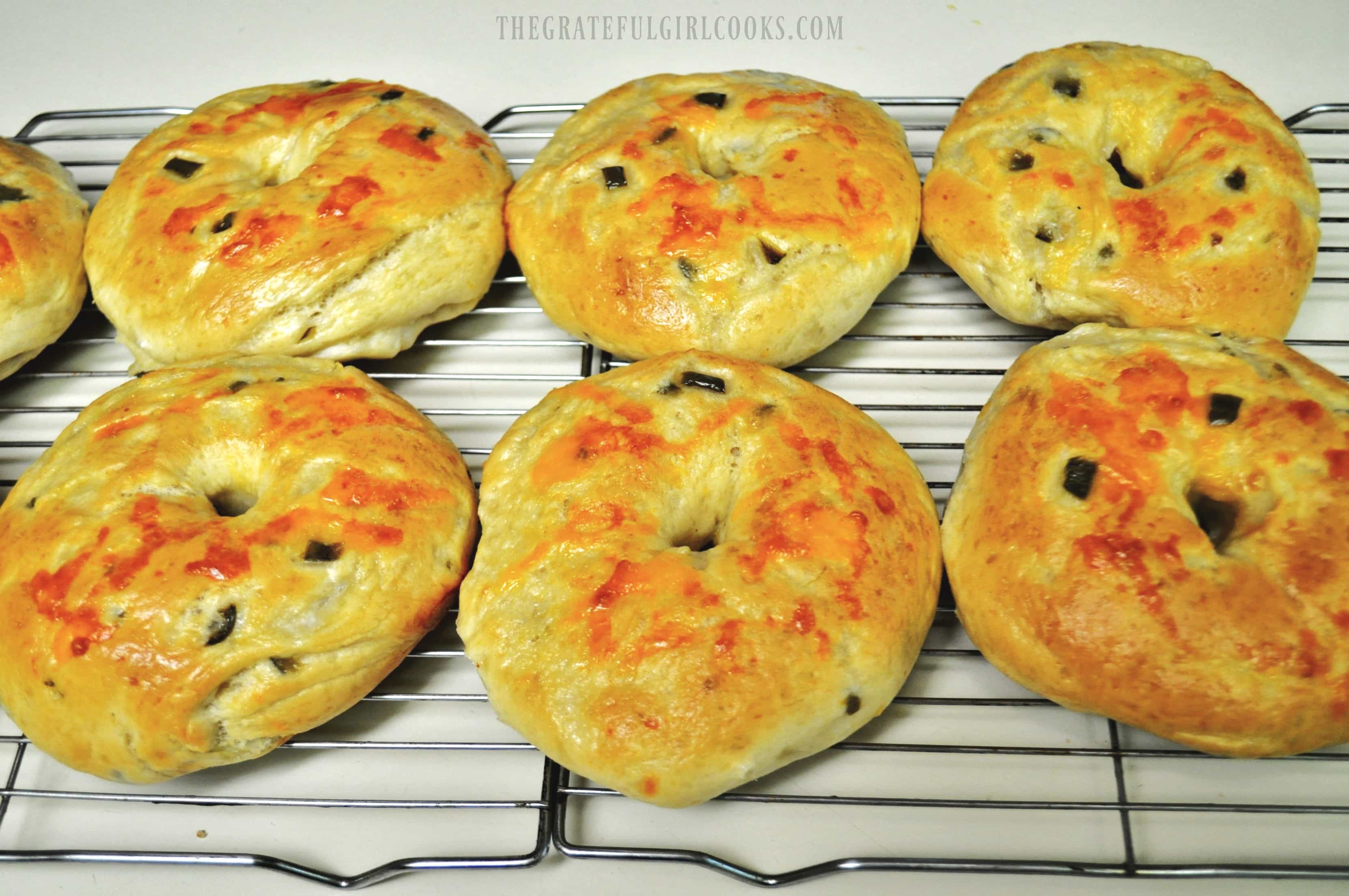 Jalapeño Cheddar Bagels | The Grateful Girl Cooks! Jalapeño Cheddar Bagels | The Grateful Girl Cooks!