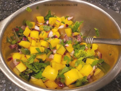 Mango Avocado Salsa (appetizer or side dish) / The Grateful Girl Cooks!