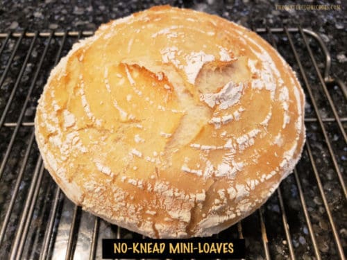 No-Knead Mini Loaves - The Grateful Girl Cooks!