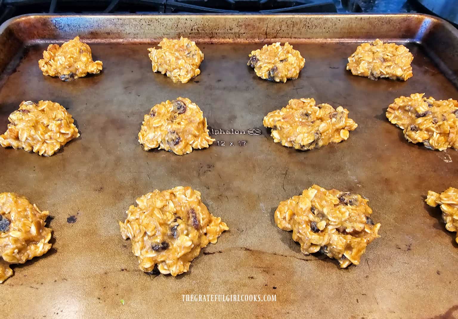 Pumpkin Spice Oatmeal Cookies - The Grateful Girl Cooks!
