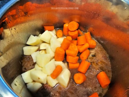 Instant Pot Beef Stew - The Grateful Girl Cooks!