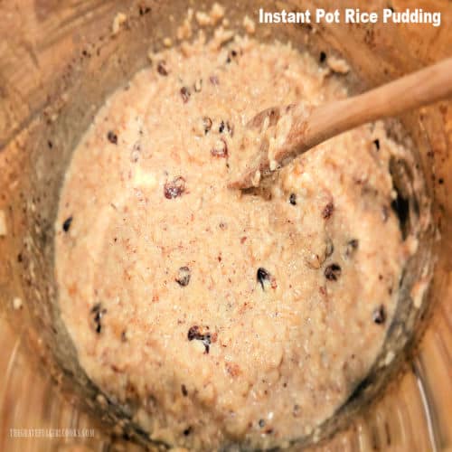 Instant Pot Rice Pudding - The Grateful Girl Cooks!