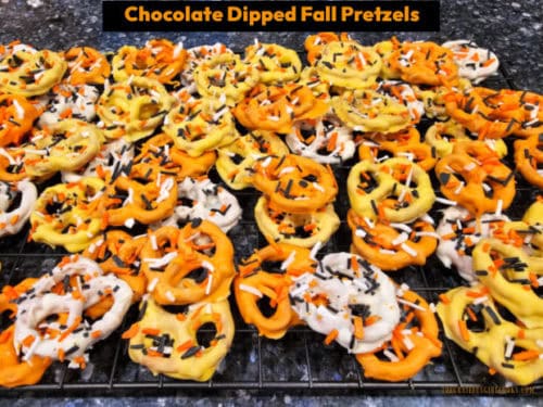 Chocolate Dipped Fall Pretzels - The Grateful Girl Cooks!